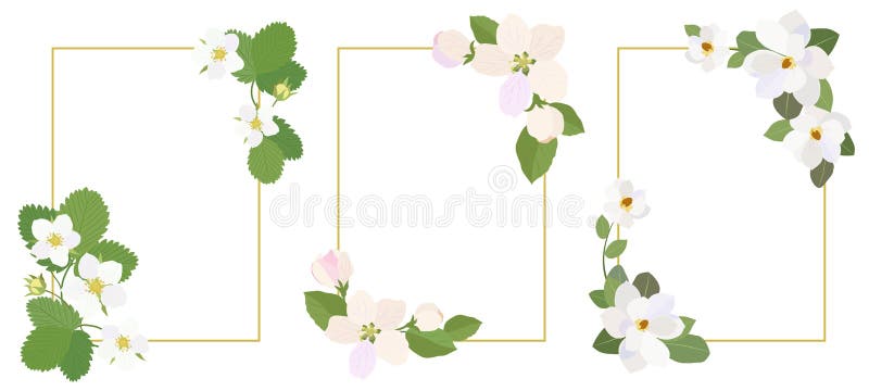Set of Three Rectangle Golden Frames with Spring Flowers Stock Vector ...