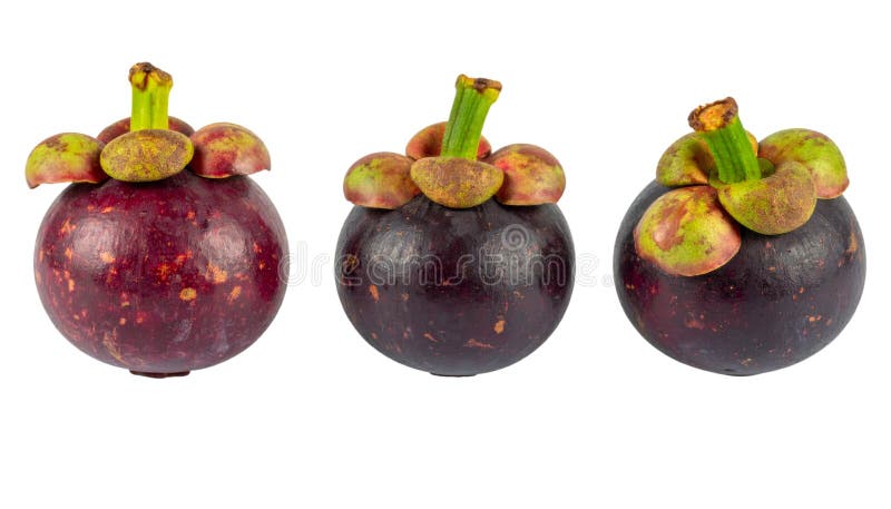 Set of Three Ripe Mangosteens Isolated on Transparent Background with ...