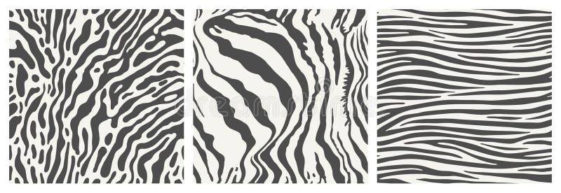 Set of Three Seamless Zebra Skin Patterns. Stock Illustration ...