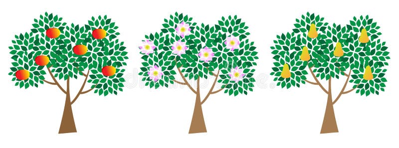 Set of three trees stock vector. Illustration of blossom - 16354388