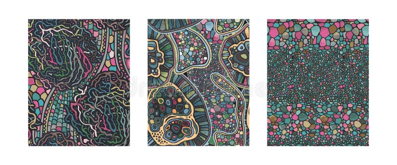 Set of Three Vector Seamless Colorful Abstract Organic Patterns ...