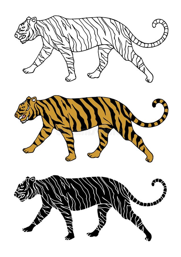Set of Tiger Animal Hand Drawn Vector Illustration Design Stock Vector ...