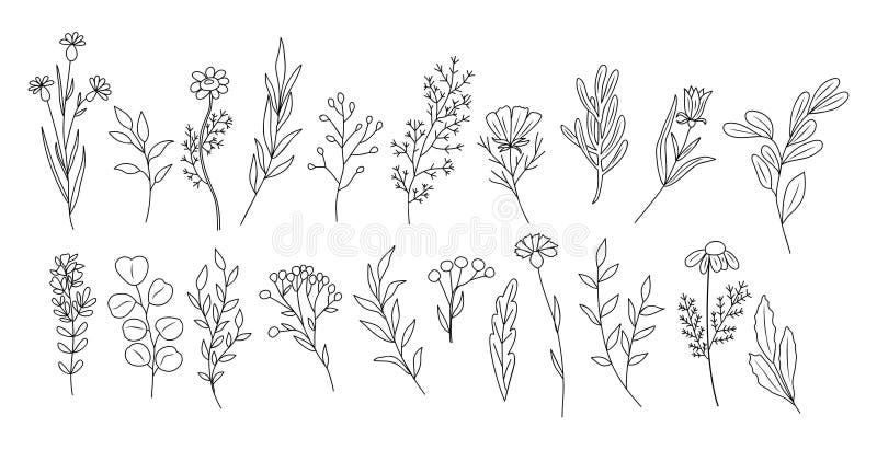 Set of Tiny Wild Flower and Plants Line Art Vector Stock Vector ...