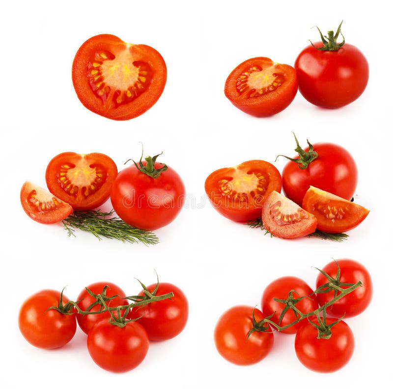 Set of tomato vegetables stock image. Image of green - 31578555