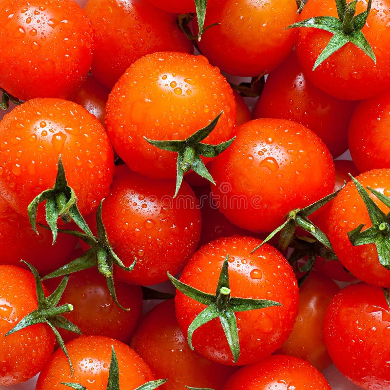 Set tomatoes closeup stock image. Image of food, cuisine - 37801065