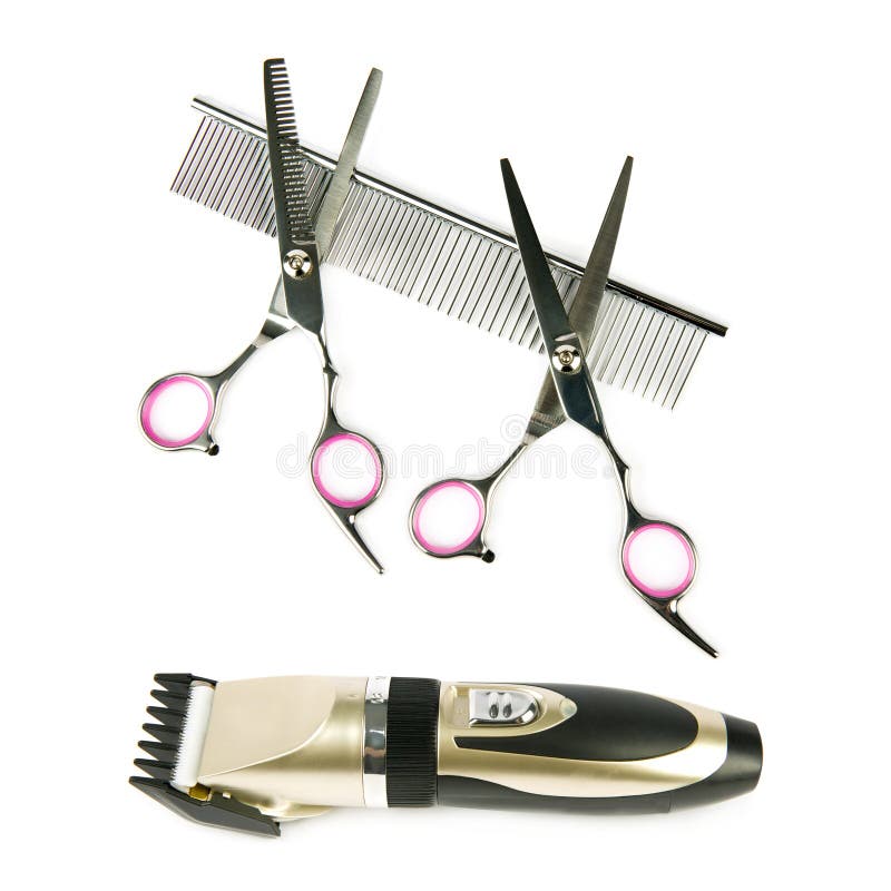 Set of Tools for Grooming Pets Isolated on a White. Collage Stock Image ...