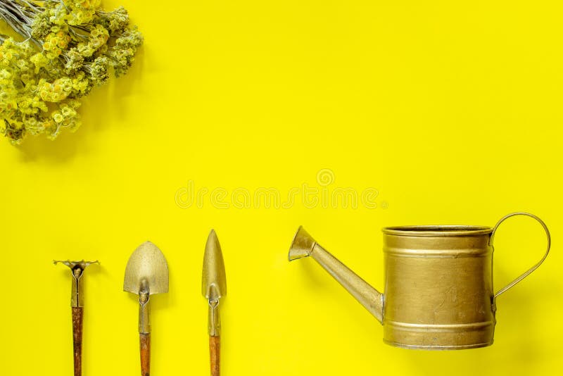 Set of Tools To Care for Flowers on a Yellow Background. Flowers. Flat ...