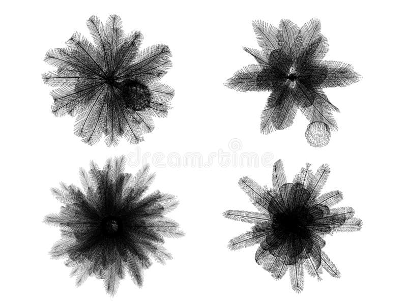 Set of Top View Tree Isolate on White Backgound, 3d Rendering Stock ...