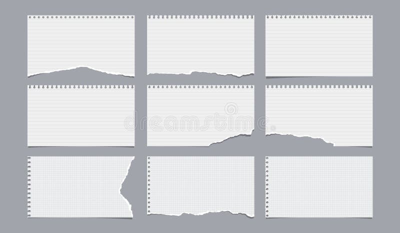 Lined Math Notebook Sheets Stock Illustrations – 55 Lined Math Notebook ...