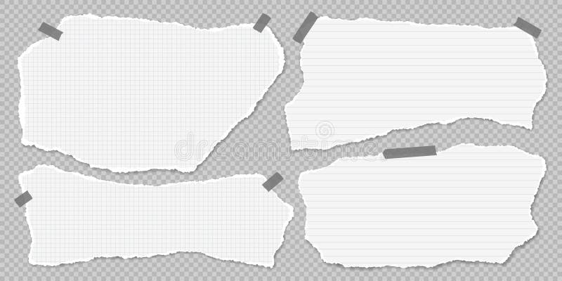 Set of Torn White, Lined, Math Paper Pieces, Strips are on Grey ...