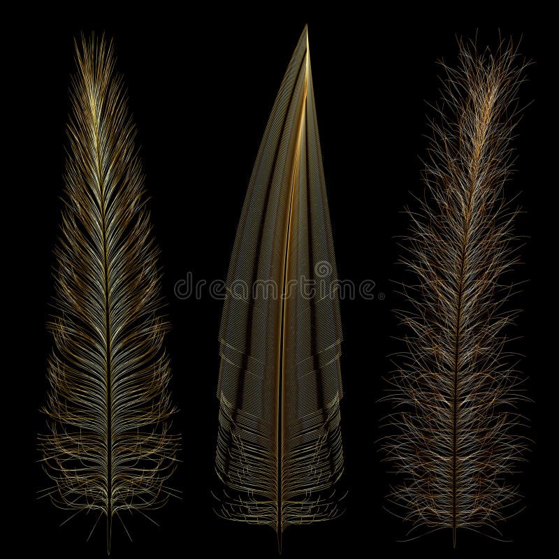Set of Transparent Gold Feathers - Vector Illustration Stock Vector ...