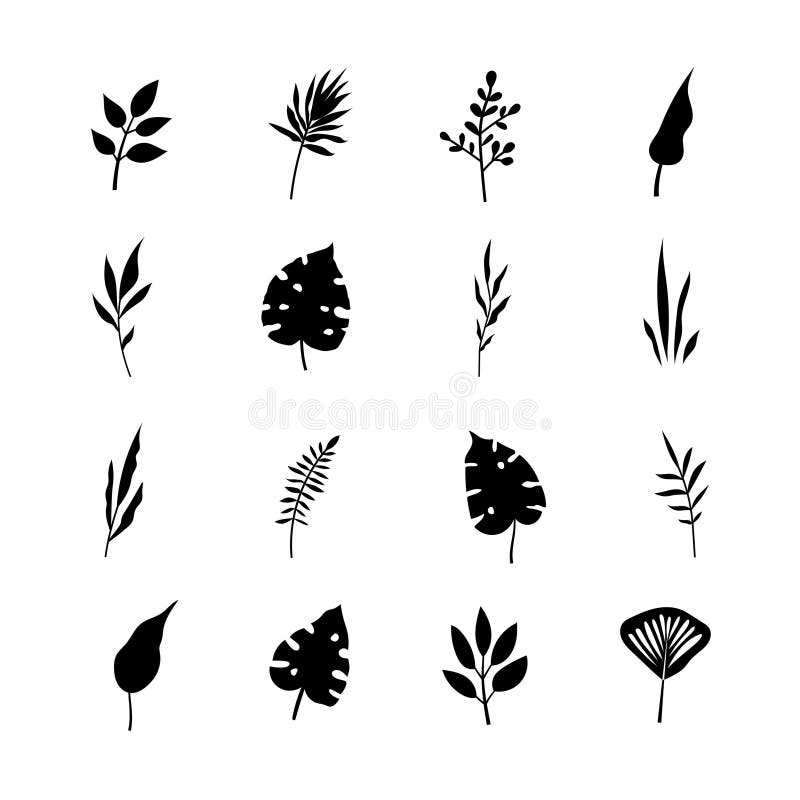 Set of Tree Branches, Eucalyptus, Palm Leaves, Herbs and Flowers ... Set of Tree Branches, Eucalyptus, Palm Leaves, Herbs and Flowers ...