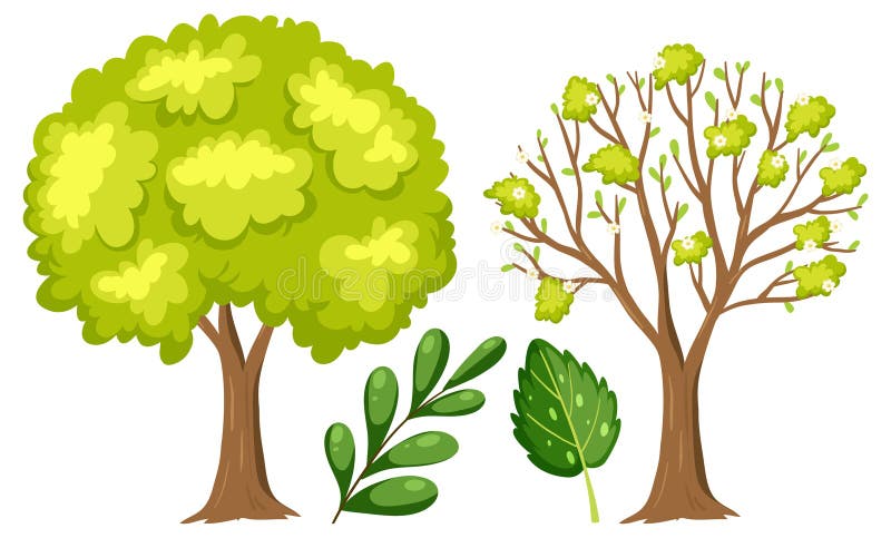 Set of tree cartoon stock vector. Illustration of cartoon - 273214118