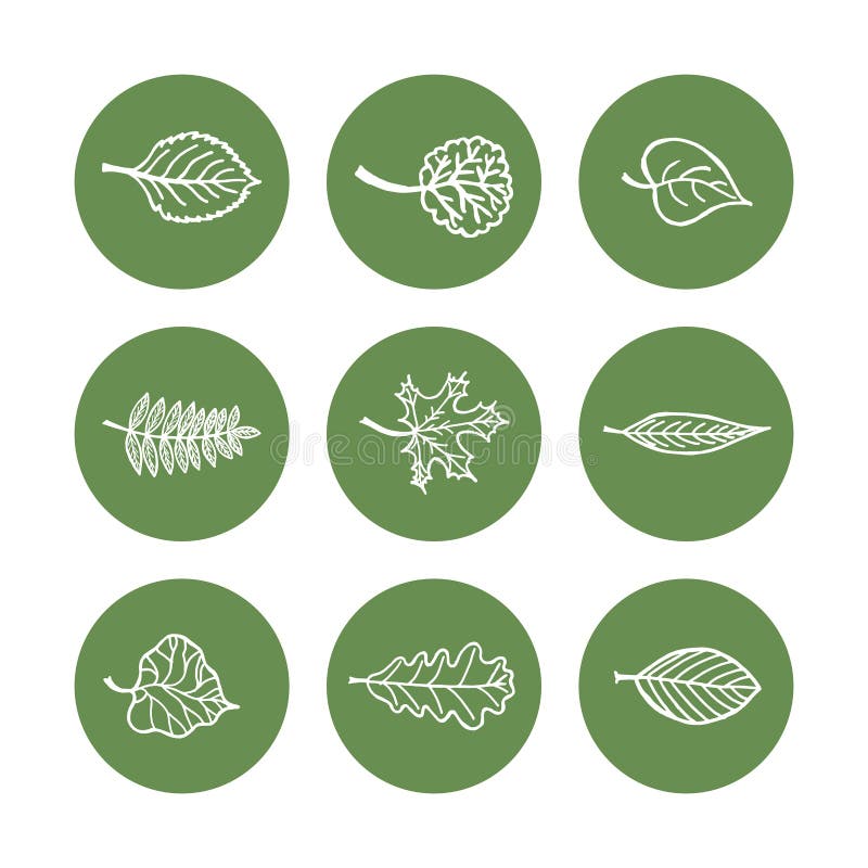 Set of Tree Leaves on Circles Stock Vector - Illustration of lilac ...