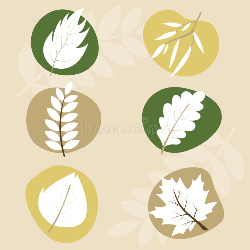 Set of Tree Leaves on a Different Background, Birch , Oak, Willow ...