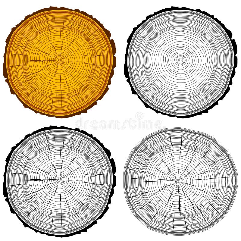Vector Conceptual Background Tree Rings Stock Illustrations – 515 ...
