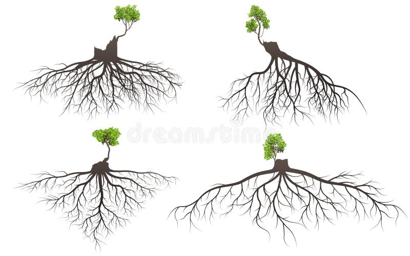 Set of tree roots stock vector. Illustration of season - 96230857