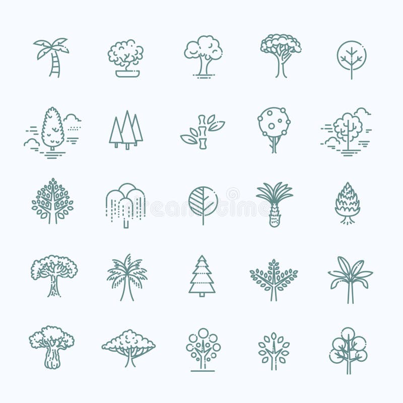 Thin line Tree Set. Vector stock vector. Illustration of garden - 76186371