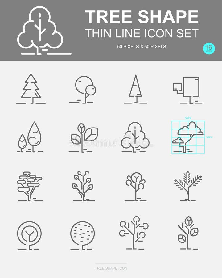 Set of Tree Shape Vector Line Icons. Includes Leaf, Forest, Trees ...