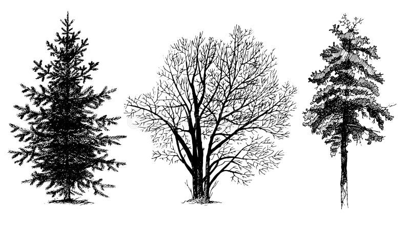 Set of Tree Silhouettes. Shading Painting Stock Vector - Illustration ...