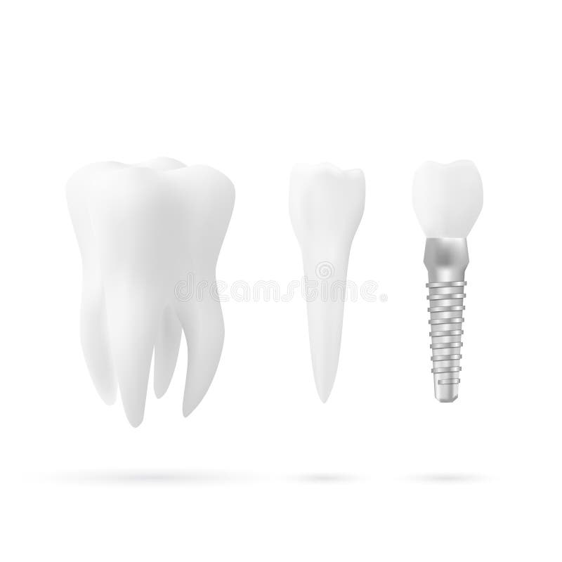Set of tree tooth stock illustration. Illustration of white - 71510103