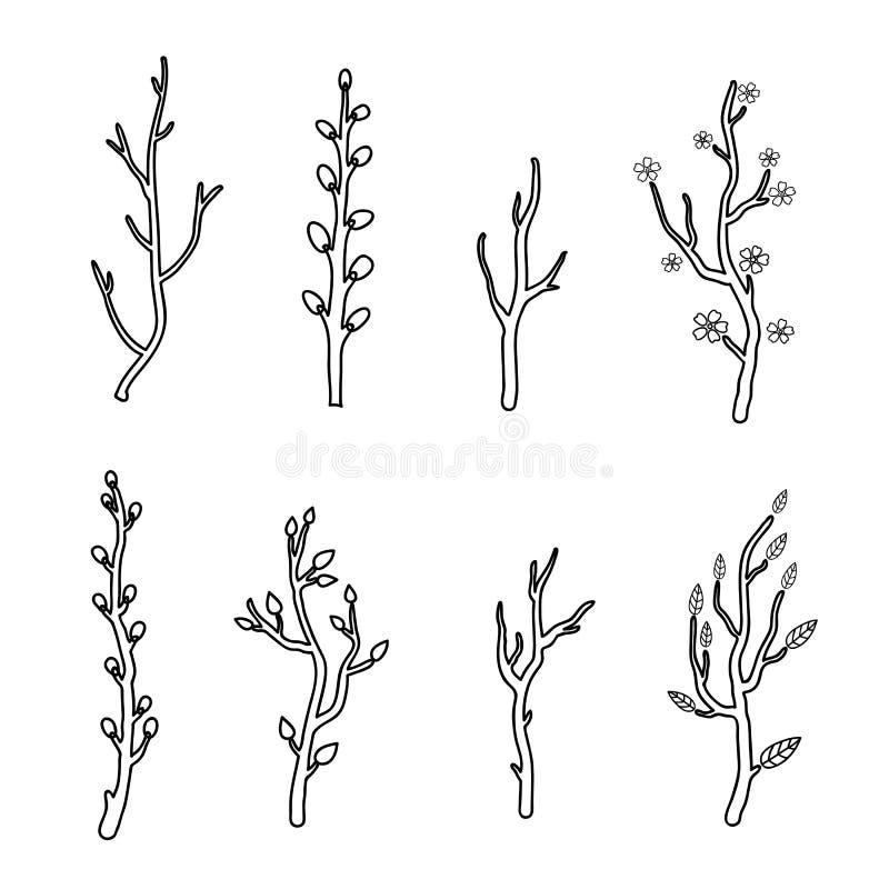 Set of Tree Twigs and Branches. Stock Vector - Illustration of isolated ...