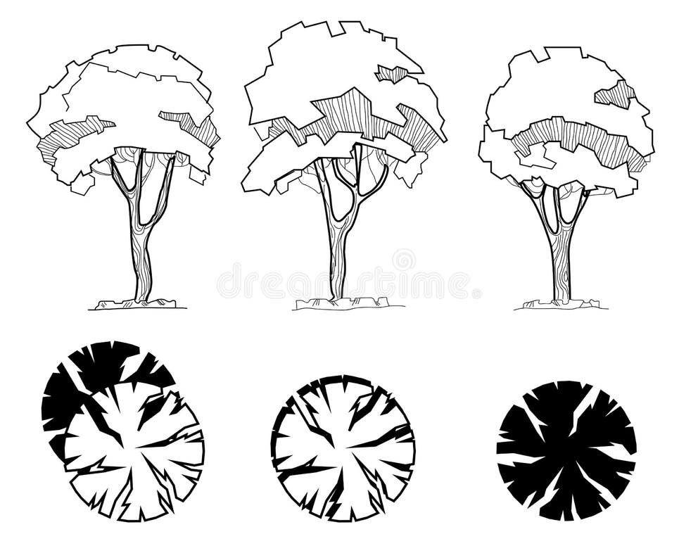 Trees Top View Black White Stock Illustrations – 475 Trees Top View ... Trees Top View Black White Stock Illustrations – 475 Trees Top View ...