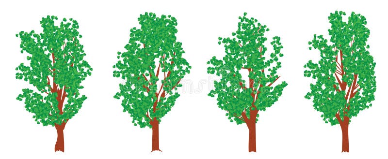 Trees Isolated Realistic Style Stock Vector - Illustration of leaves ...