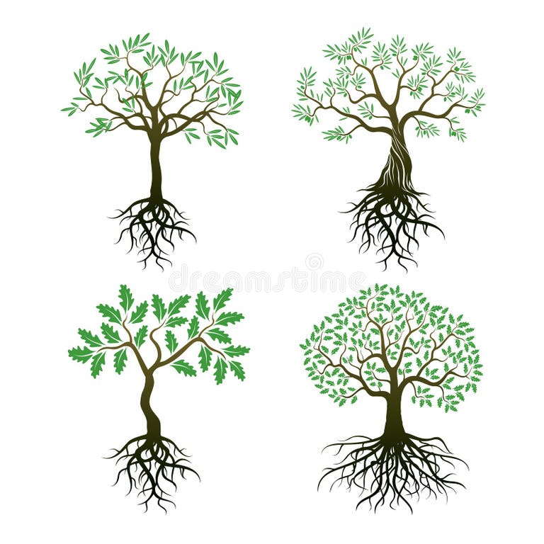 Living Roots Stock Illustrations – 2,423 Living Roots Stock ...