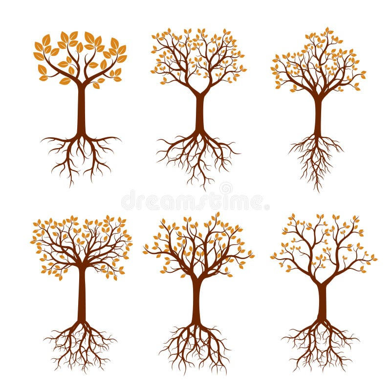 Set of Trees with Roots. Vector Illustration. Stock Illustration ...