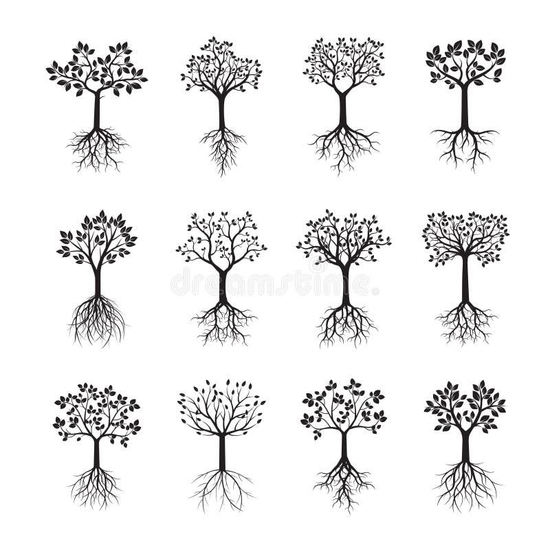 Set of Trees with Roots. Vector Illustration. Stock Illustration ...