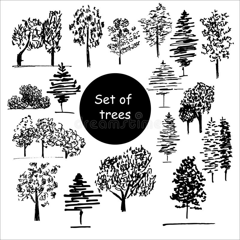 Tree Vector Illustration. Black Tree Doodles Isolated on White ...