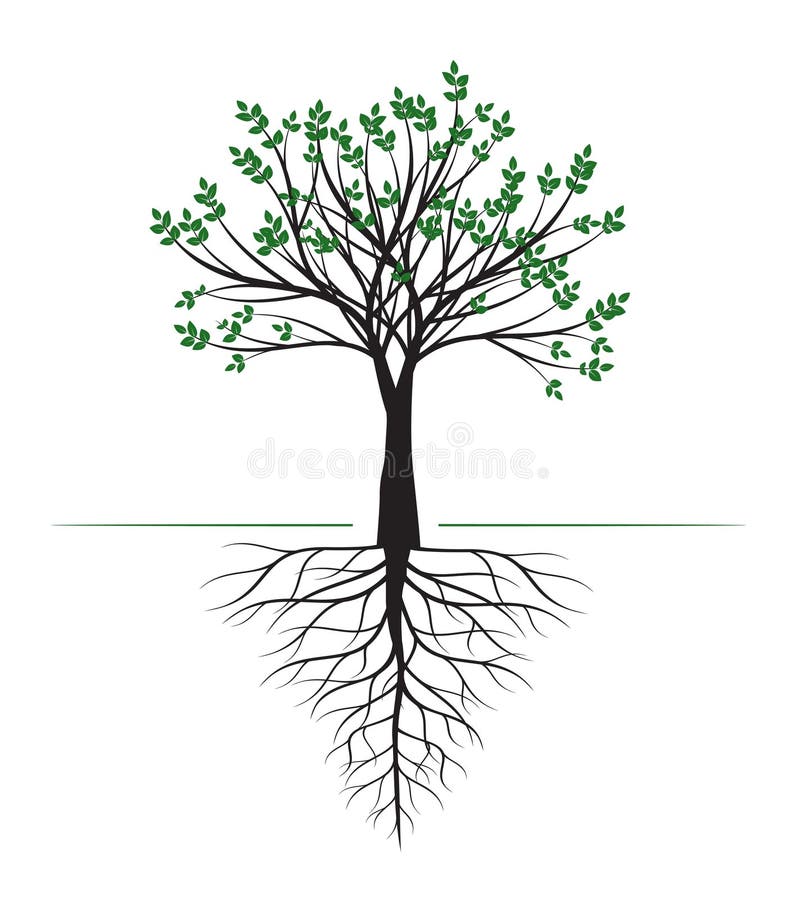 Set of Trees. Vector Outline Illustration. Plant in Garden Stock Vector ...