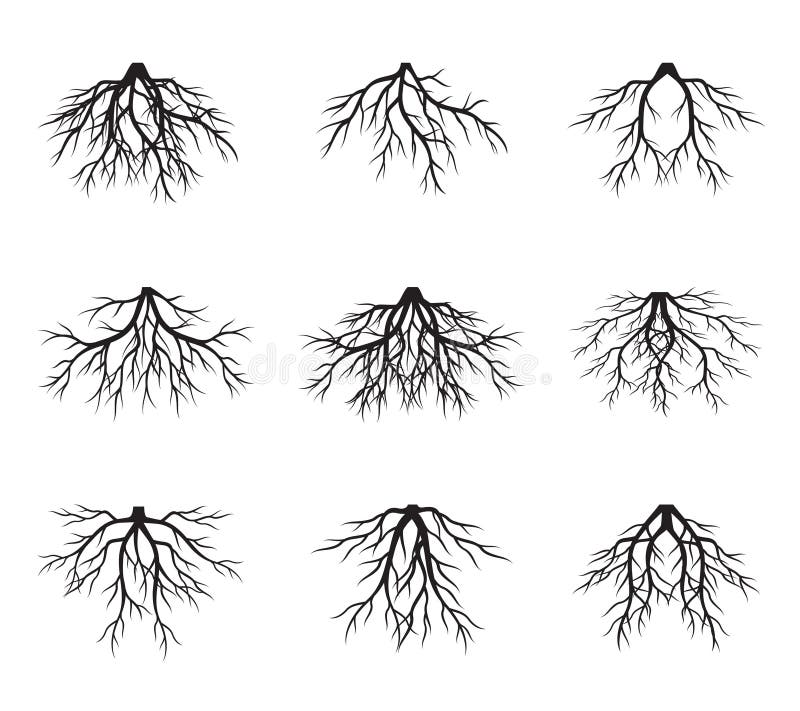 Set of Trees. Vector Outline Illustration. Plant in Garden Stock Vector ...