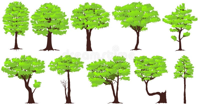 Set of trees stock vector. Illustration of vector, graphic - 96230253