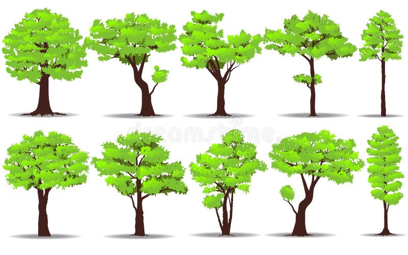 Set of trees stock vector. Illustration of branch, organic - 96230749