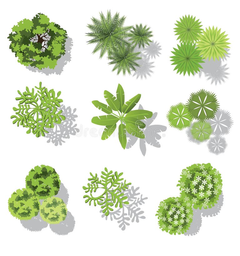 Tree Plan View Stock Illustrations – 7,070 Tree Plan View Stock ...