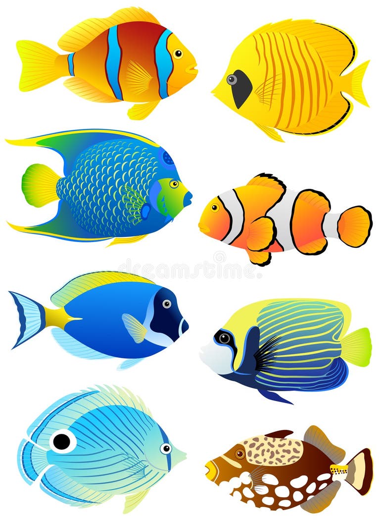 Butterflyfish Tropical Fish Illustration Stock Illustrations – 1,051 ...
