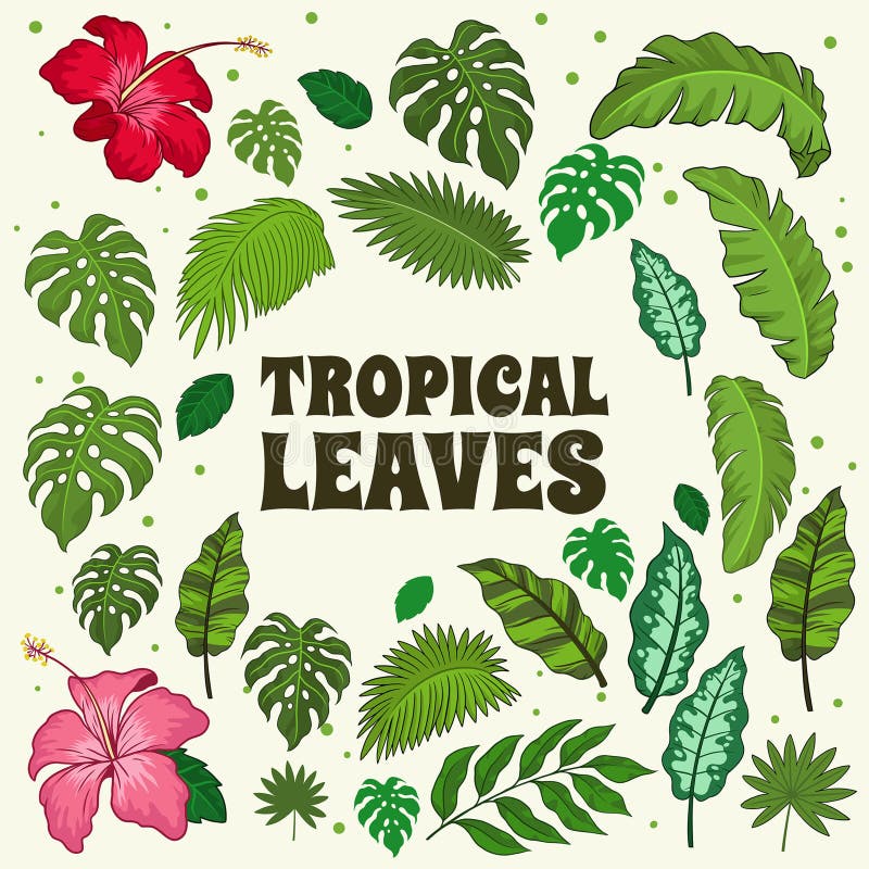 Set of Tropical Leaves Drawing Stock Vector - Illustration of ecology ...