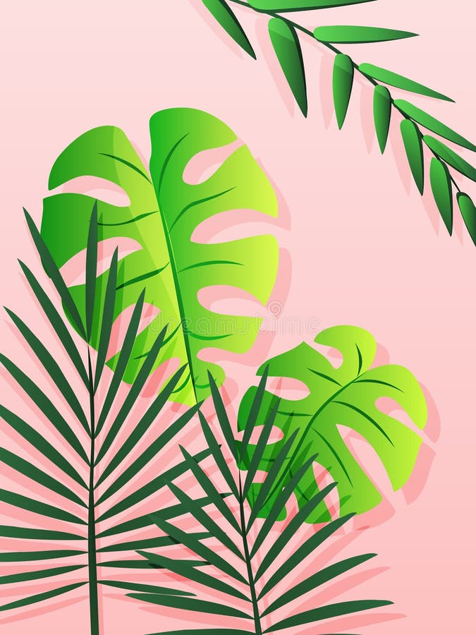 Set of Tropical Leaves. EPS10 Vector. - Vector Graphics Stock ...
