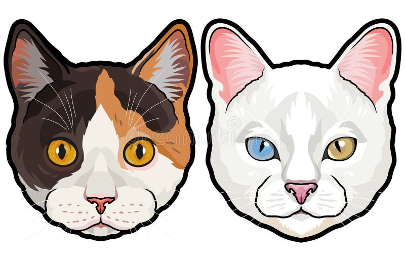 Set of Two Colored House Cat Heads Vector Illustration Isolated Stock ...