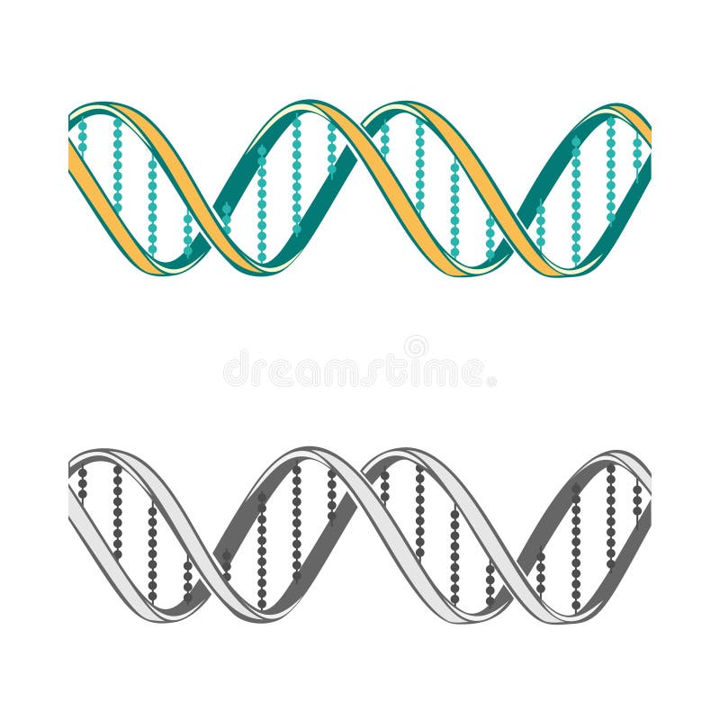 Set of Two DNA Symbols on White Background Stock Vector - Illustration ...