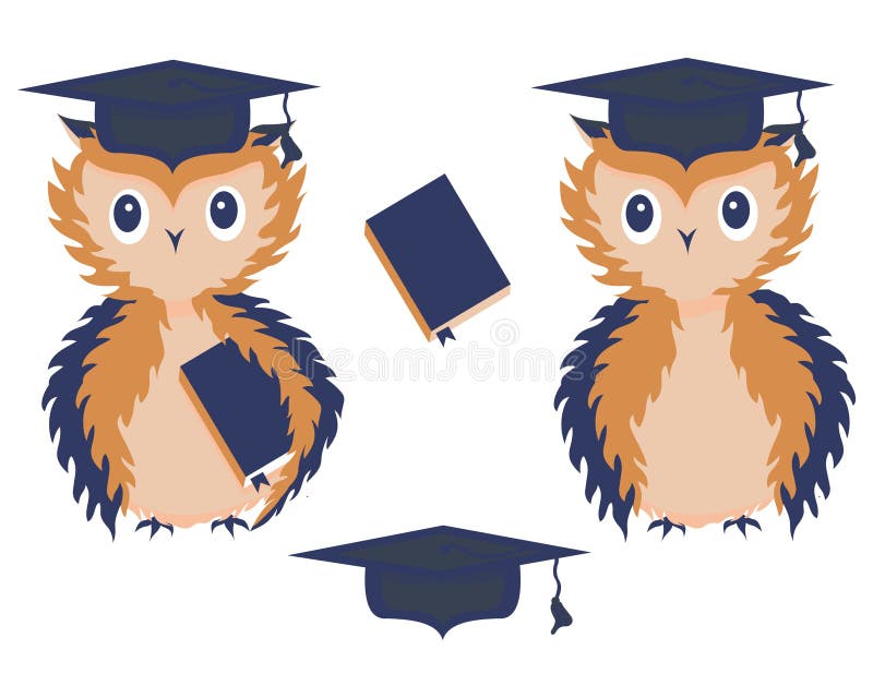A Set of Two Learned Owls, a Square Academic Cap and a Textbook with a ...