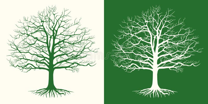 Dead Tree Silhouette With Roots