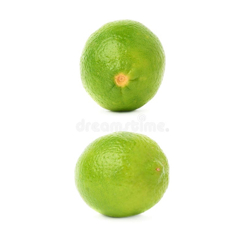 Set of Two Single Limes in Different Compositions and Foreshortenings ...