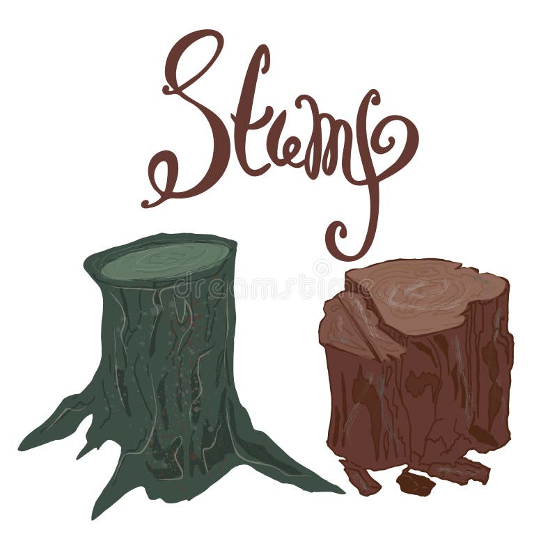 Set of two tree stumps stock vector. Illustration of collection - 204181390