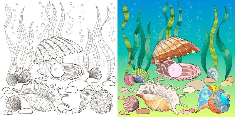 Set of Two Zentangle Pictures with Sea Shells Stock Vector ...
