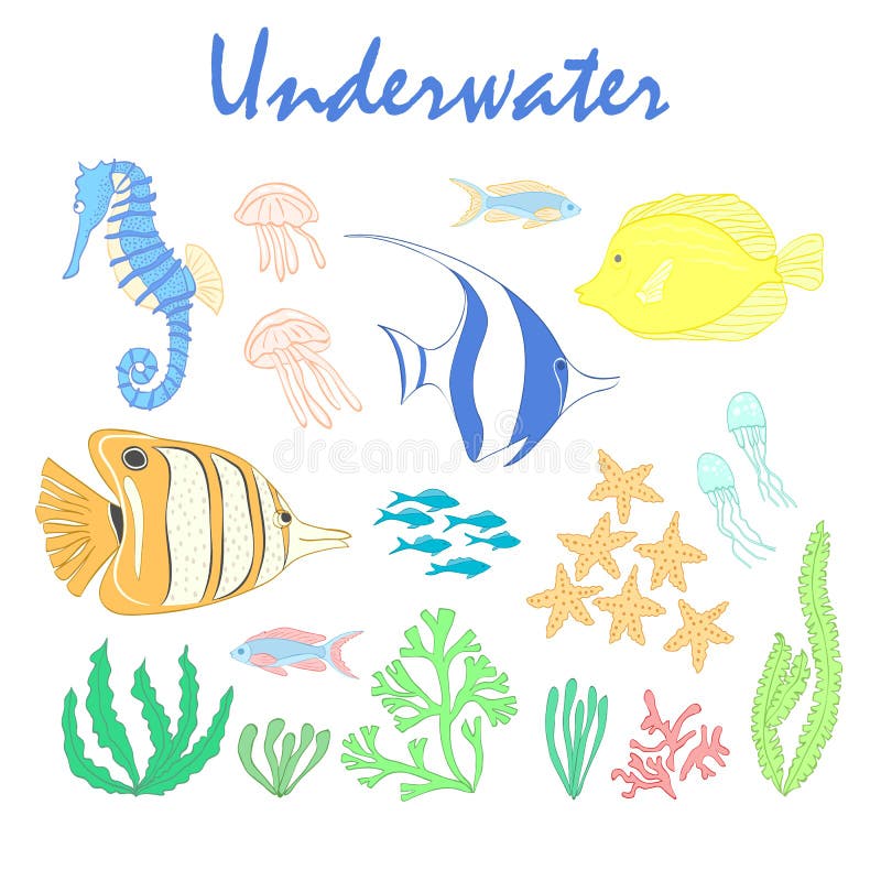 Set of Underwater Design Elements. Stock Vector - Illustration of ...