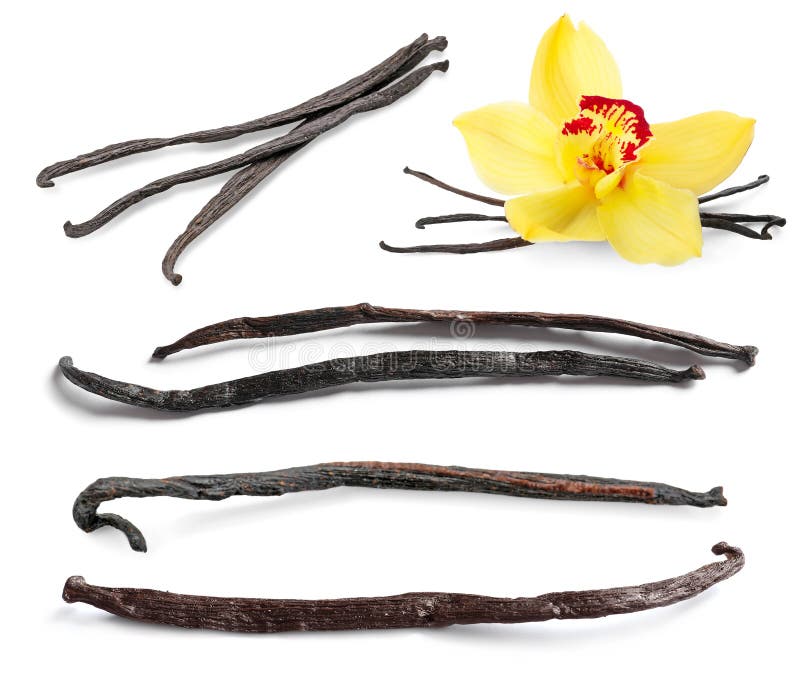 Set with vanilla pods stock image. Image of collage - 124457301