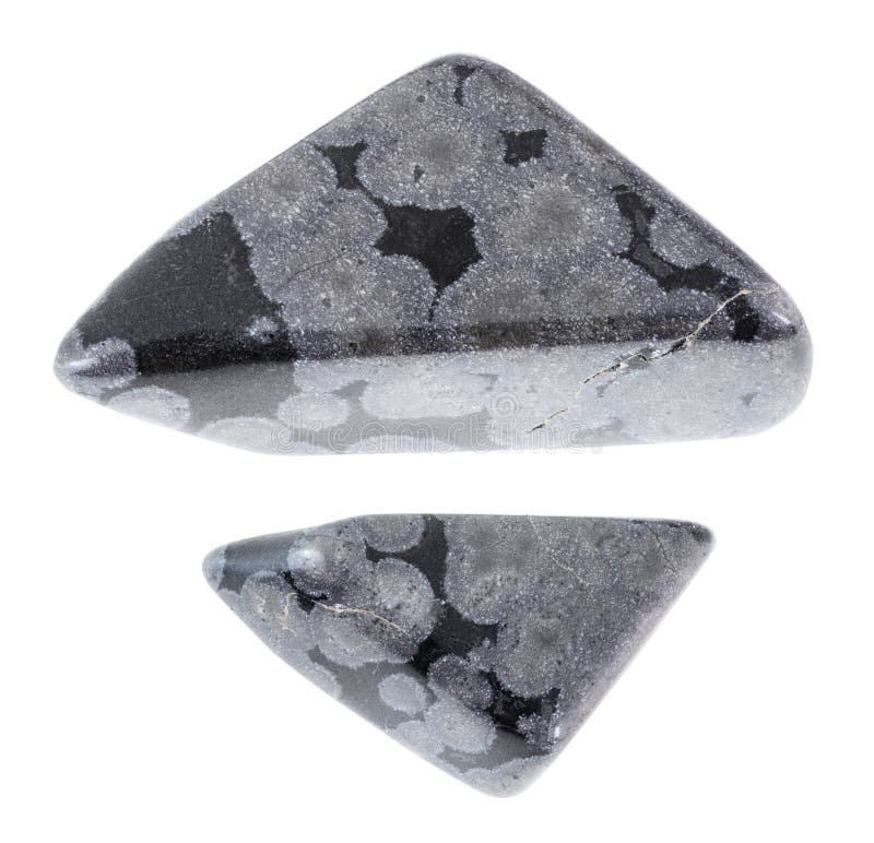 Set of Variolite Stones Cutout on White Stock Image - Image of pattern ...